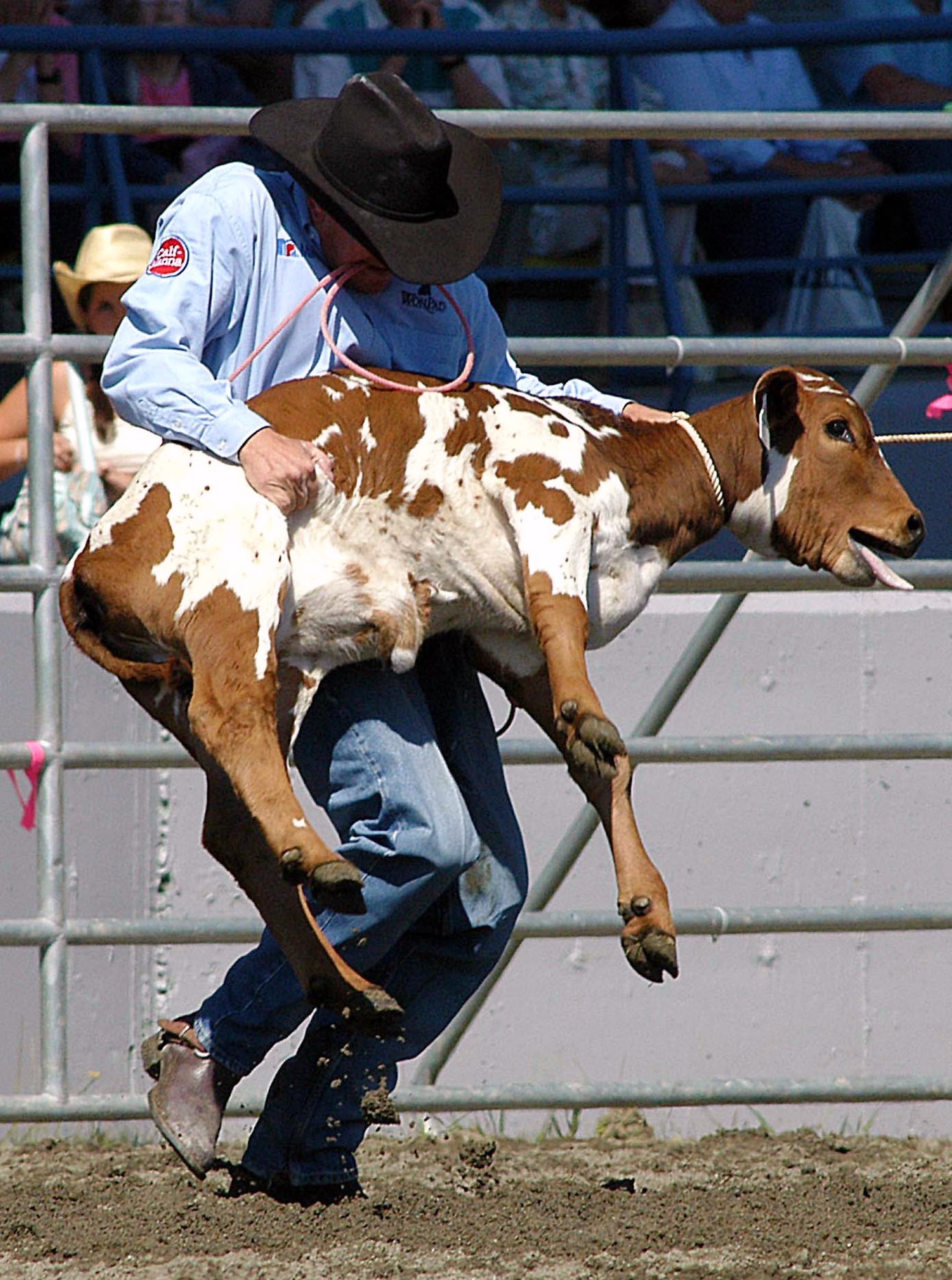 Ask Mayor Nenshi to speak up for compassion - Vancouver Humane Society